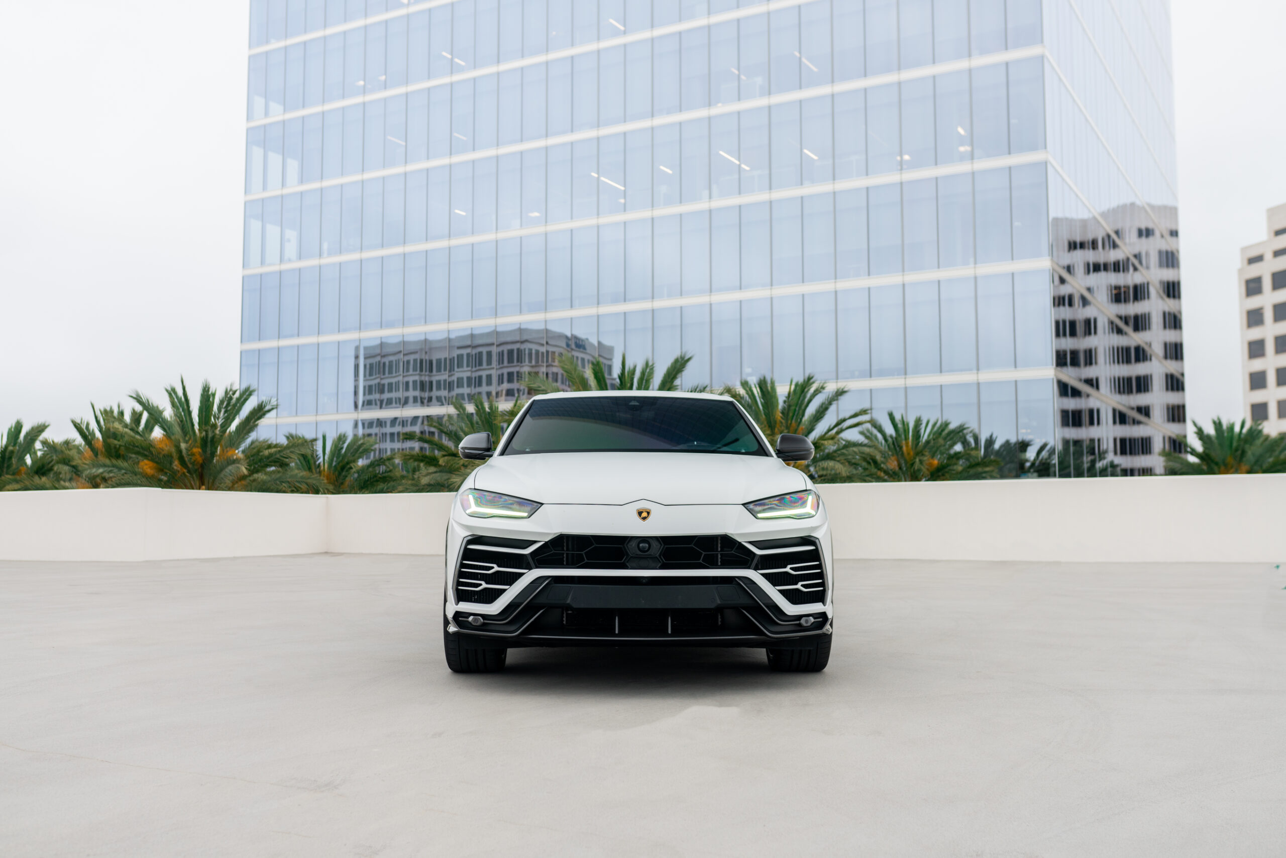 Matte White Lamborghini Urus Rental | BigTimeRidez Car Rentals