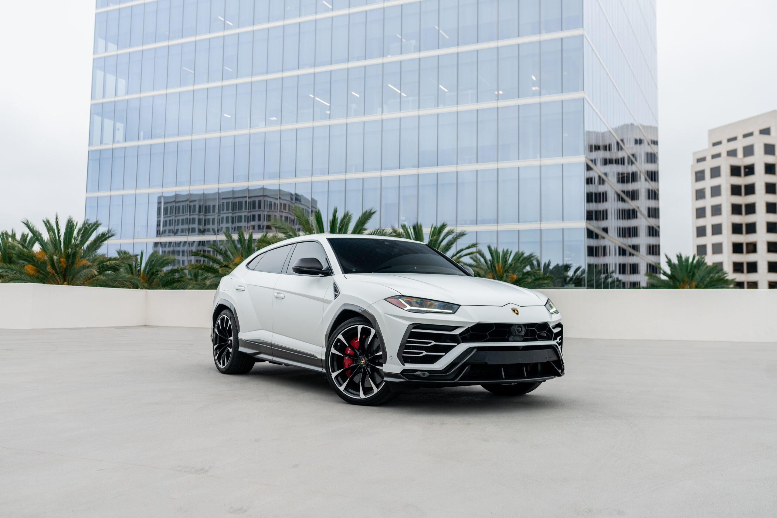 Matte White Lamborghini Urus Rental | BigTimeRidez Car Rentals